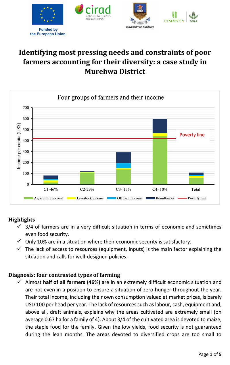 Fact Sheets | RAIZ